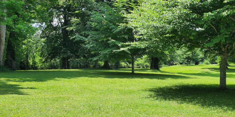 campground14 - Beech Bend Park
